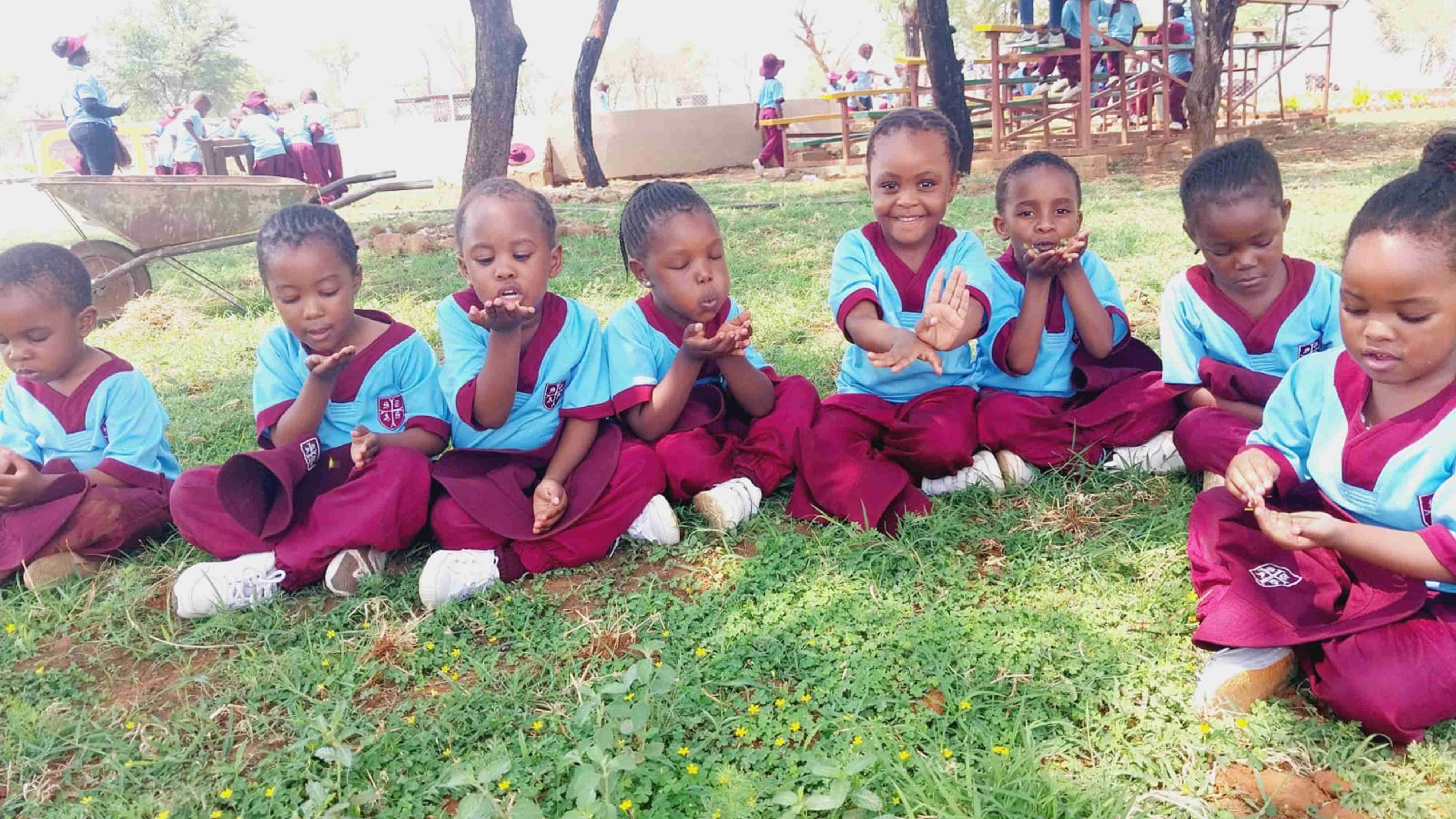 About Us – St Thomas Aquinas Primary School